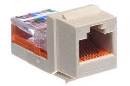 Panduit Netkey Cat5e RJ45 Universal Keystone - Electric Ivory ...