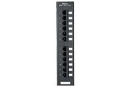Panduit DP6 Plus Cat6 Patch Panel - 12 Port | ShowMeCables.com