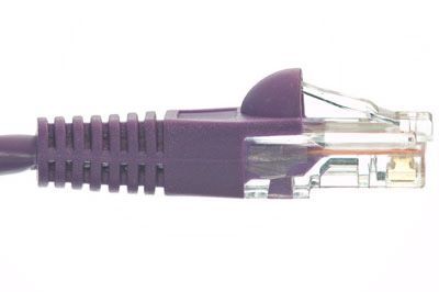Standard Boot Cat6 Ethernet Patch Cable - Purple - 3 FT | ShowMeCables.com