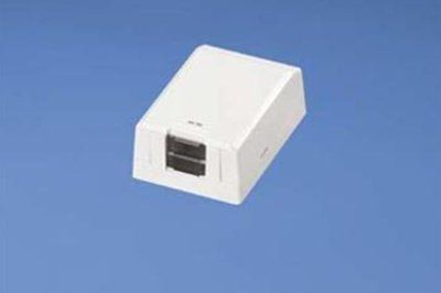 2 Port Mini-Com Surface Mount Box - Ivory | ShowMeCables.com